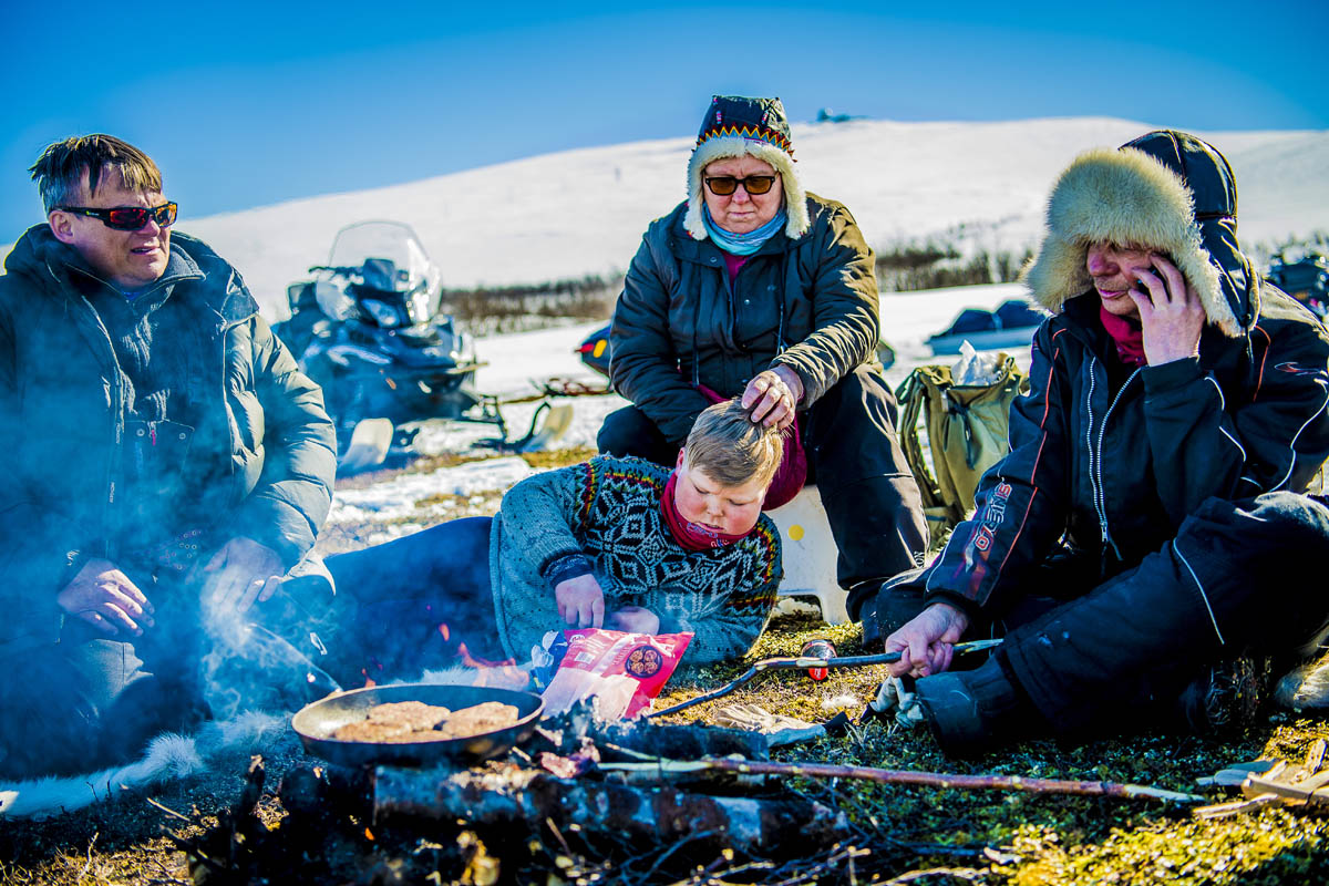 The reindeer migration is an ancient tradition in Finnmark - Visit ...