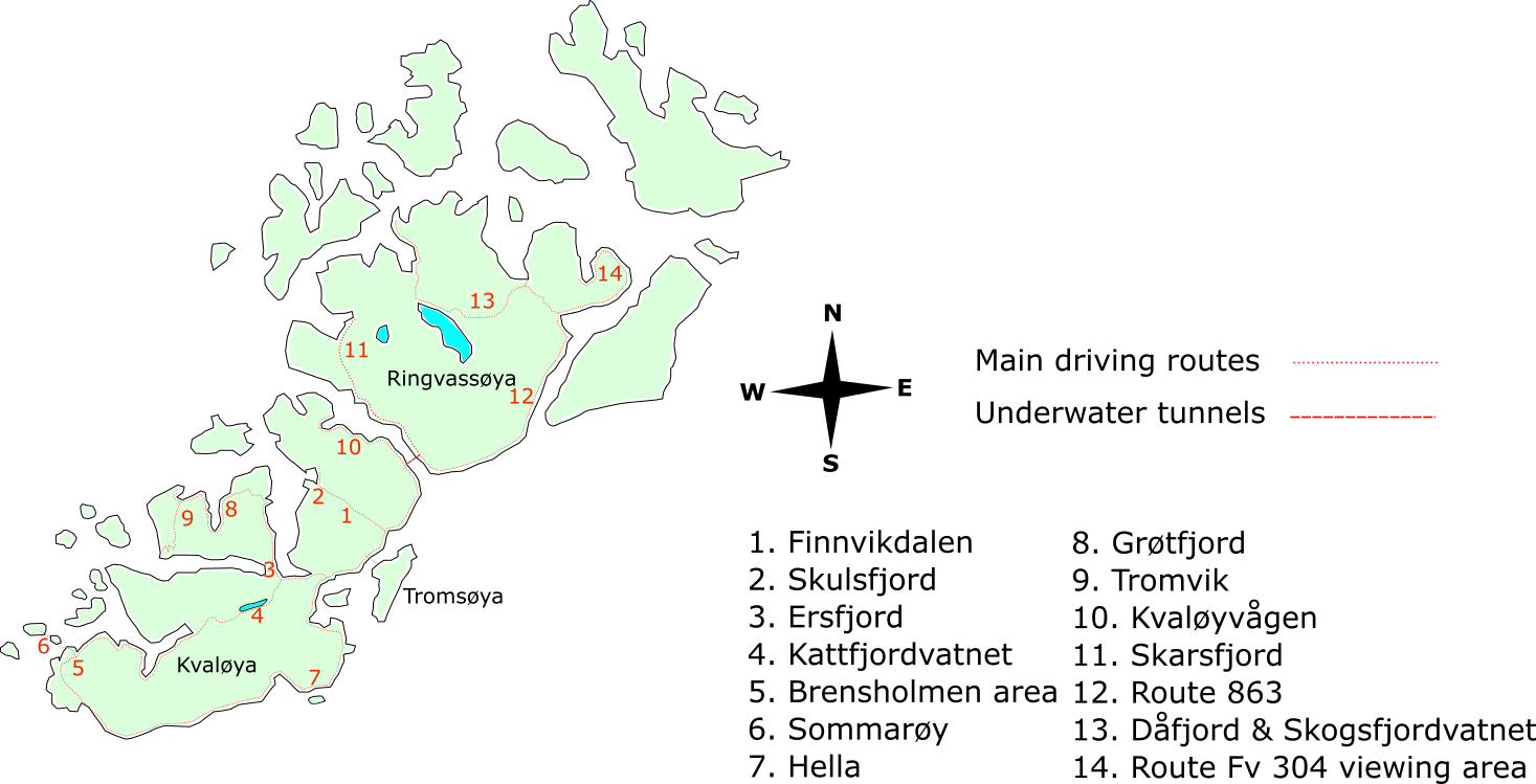Chase the northern lights by car in the Tromsø region - Arctic Norway